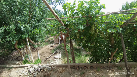Hovli sotiladi kelishamiz