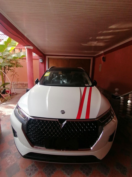Nissan venucia star, венучиа стар