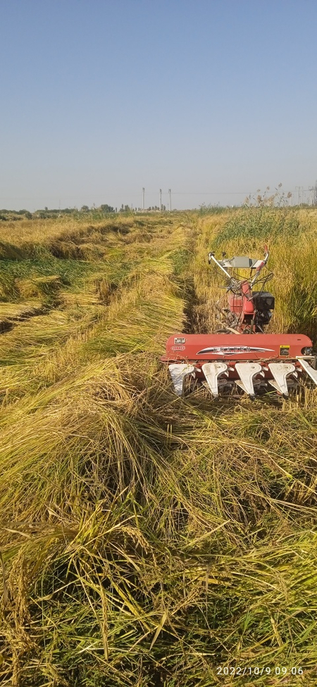 Motoblok sotiladi