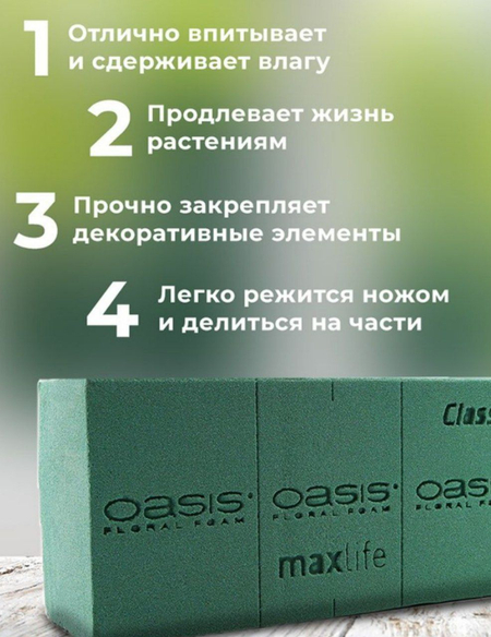 Оазис флористическая губка  11500