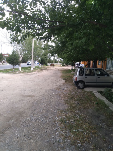 Нотурар бино сотилади