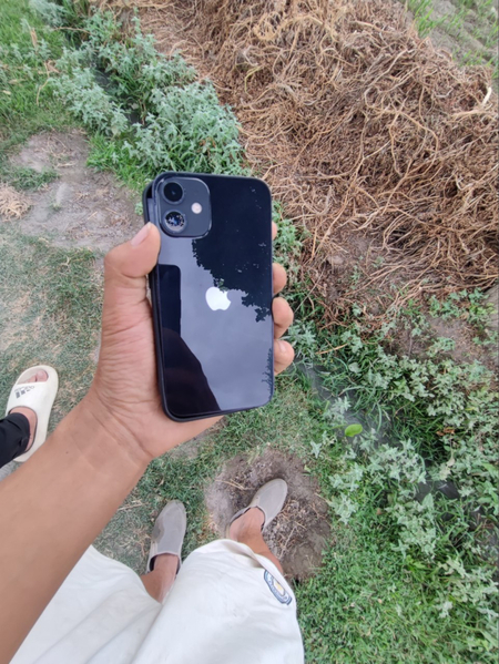 Iphone 12 mini holati rasmda