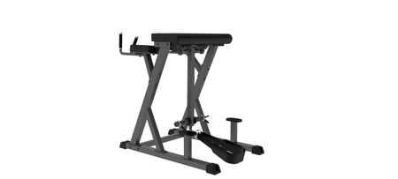 Impulse IFP1619
Обратная гиперэкстензия