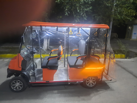 Electro car golf