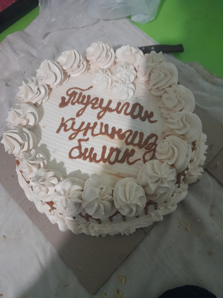 Домашний тортлар