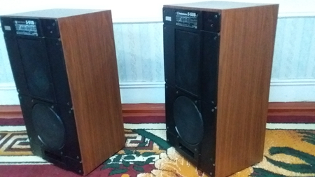 S 30 RADIOTEHNIKA калонкалар