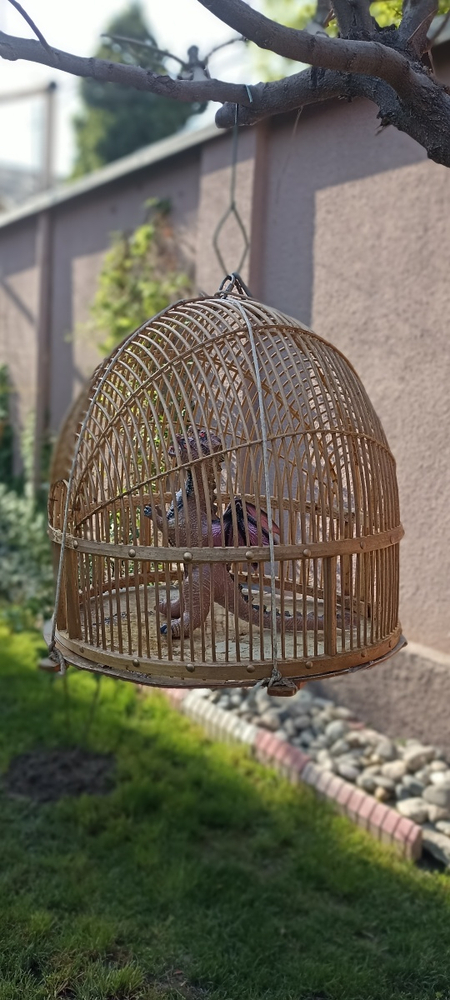 Клетка для Кеклика