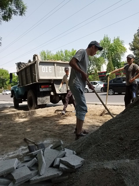 Musor tashish xizmati arzon narhlarda
