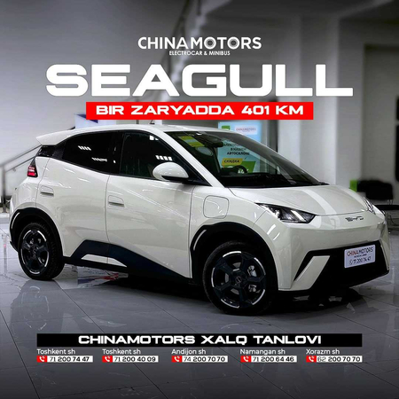 Byd Seagull 405 elektro Kredit Lizing