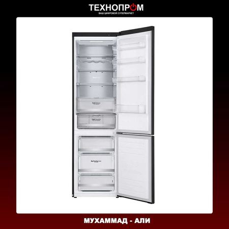 Купить холодильник LG GC-B509SBUM (384L)