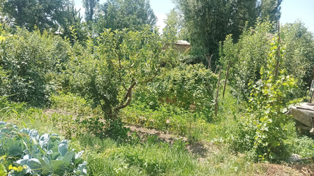 Продается 3 сотка земли