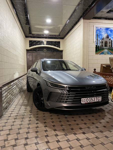 Byd chazor gibrid