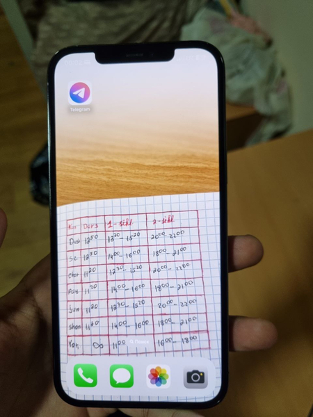Iphone 12 pro max