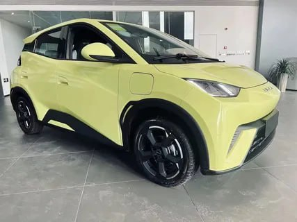 Byd seagul elektro arenda s vikupom