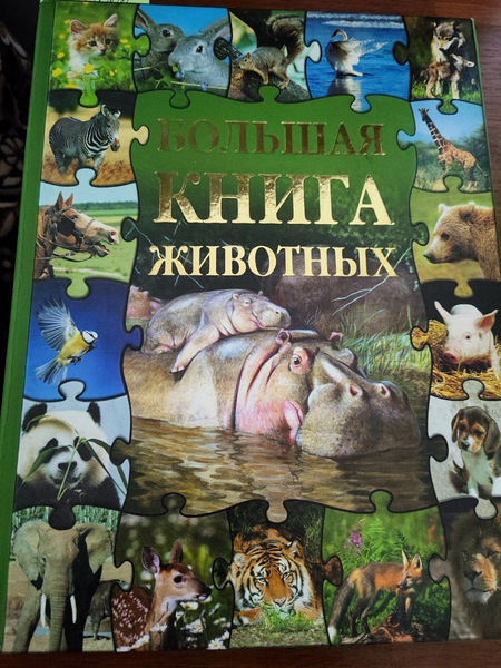 Товары для школьников
