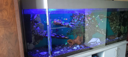 Yengi Akvarium Sotiladi аквариум продам akvarin akvarum