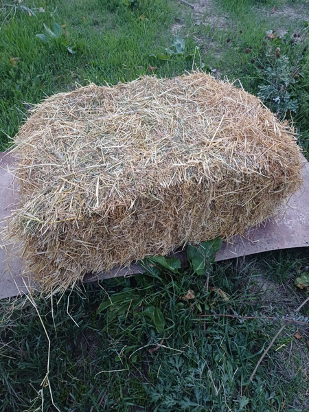 Хашак сотилади