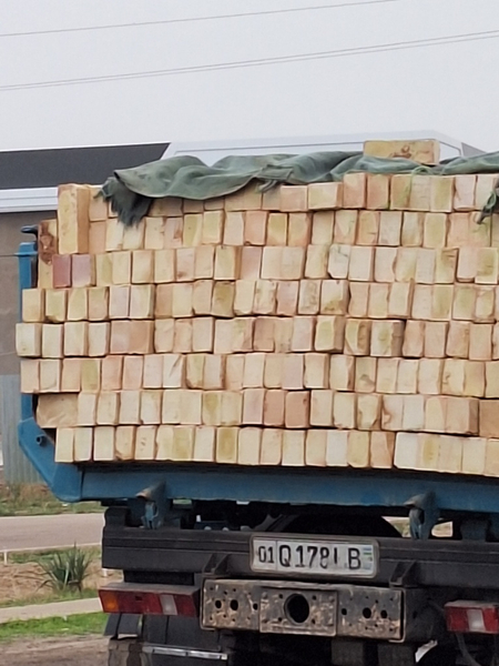 Pishkan gisht VA xom gisht