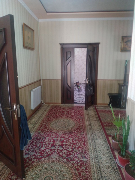 Kotej otchoparda srochna sotiladi