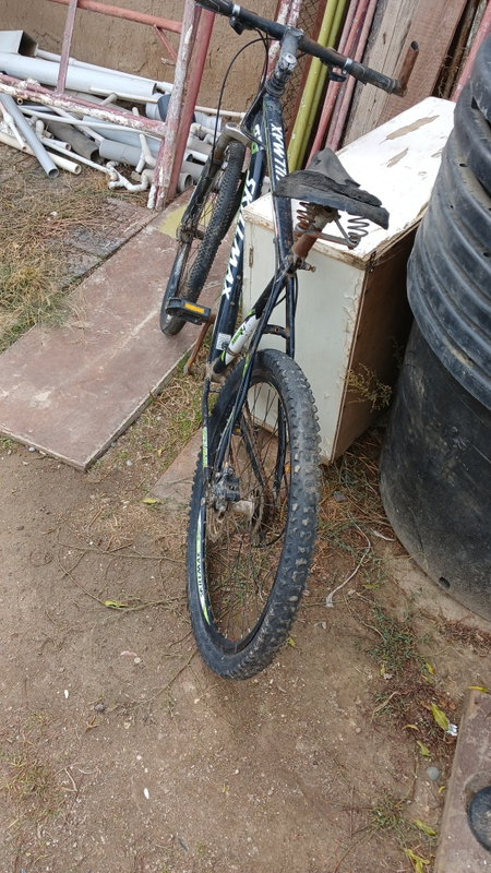 Velosiped skilmax kotta