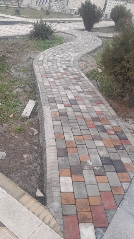 Burchatka tetamiz