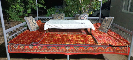 Дача в паркенте. За сутки 85$