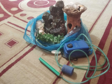 Аквариум Acvarium