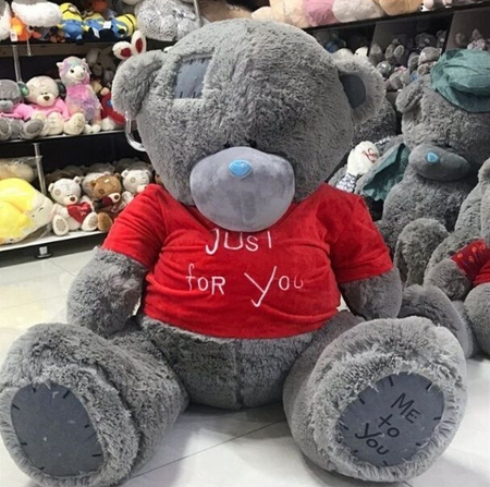 Teddy + Teddi Bonusga Qo'shib beramiz