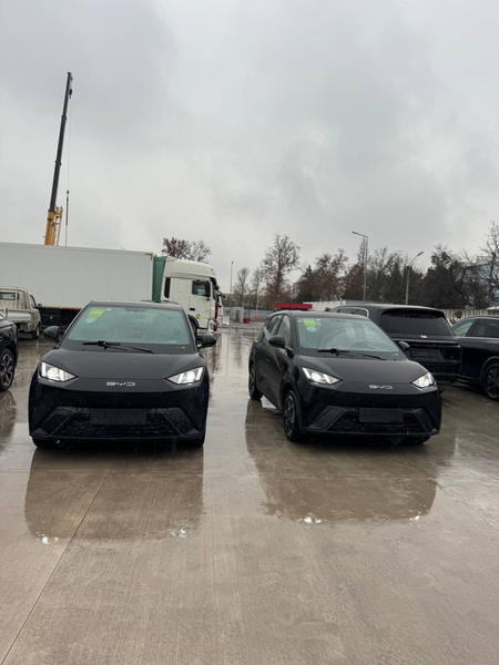 BYD Seagull 2023 yil