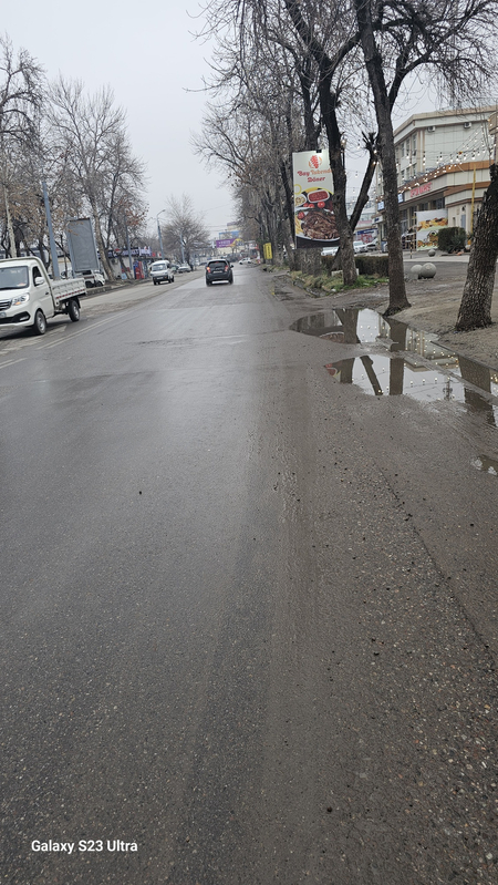 Жомий 155сот земля вдоль дороги с кадастром