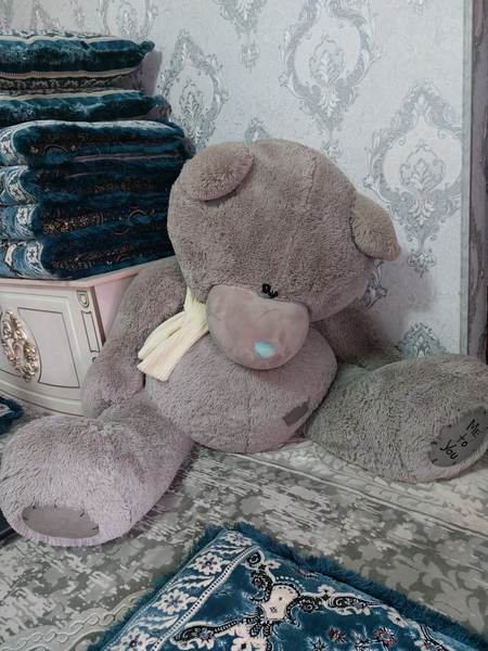 Teddy ayiq sotiladi