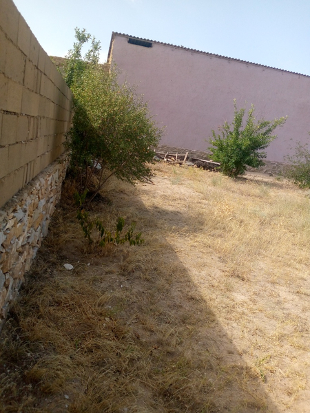 Kafolat beraman.
