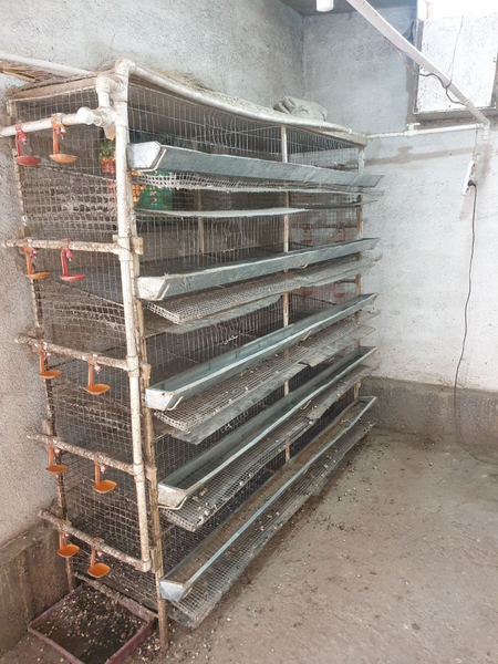 Srochna sotiladi bedana katagi 3000 ta ketadi