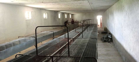 1000 дон қуёнга мулжалланган  клетка(қафас)лар арзон нархларда сотилад