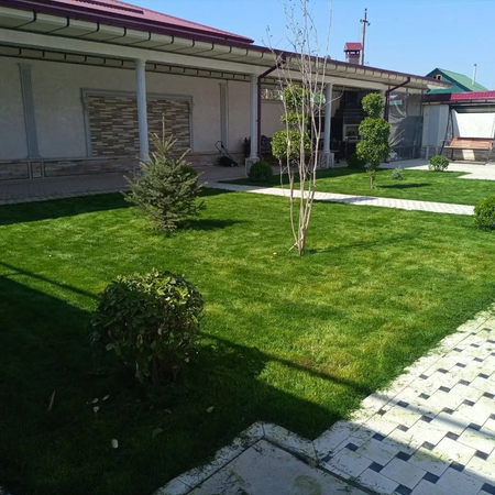 Tayyor rulonli gazon. Birinchi qo'l