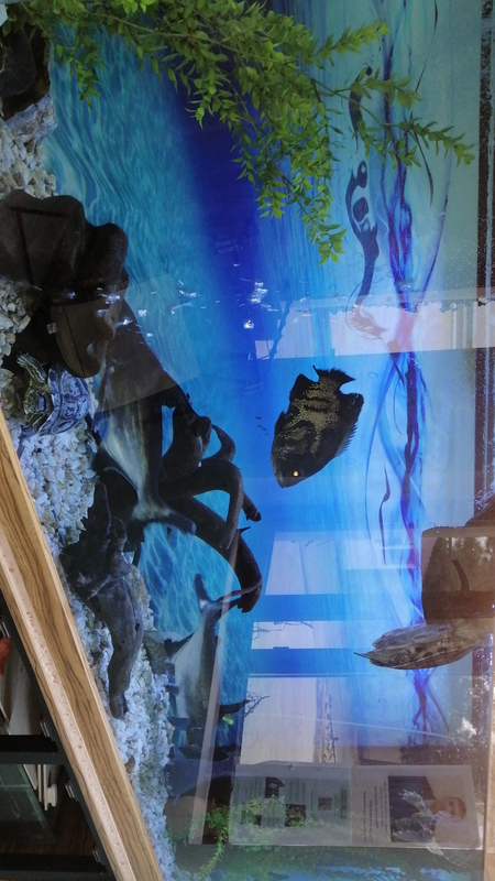 Аквариум, akvarium
