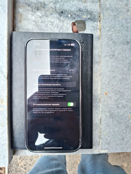 Iphone 13 pro max ideal