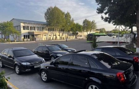 Prokat avto/rent kar
