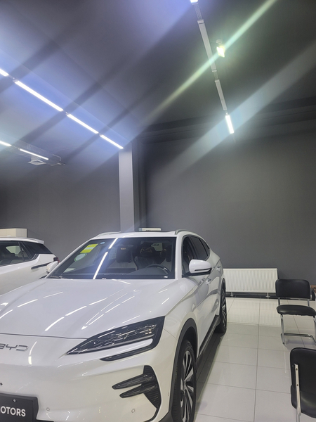 Byd chempion янги горантиялик
