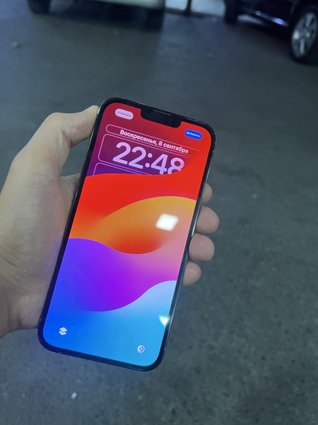 iphone 13 pro max 256