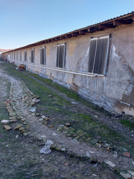Тову ферма 65 сотих келес