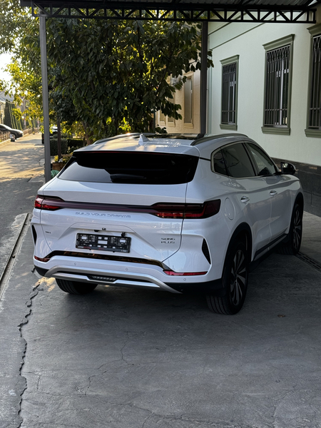 BYD Champion Hybrid Full hamma narsasi bor