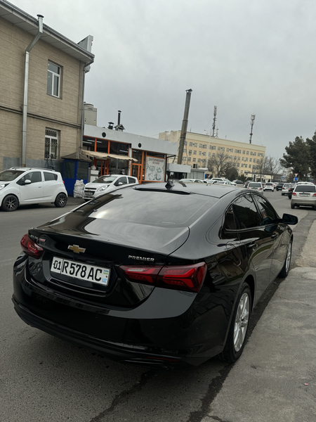 Rent car / avtoprokat