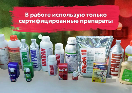 300 000 so\\\'m dezinfeksiya Дезинфекция уничтожение тараканов клоп