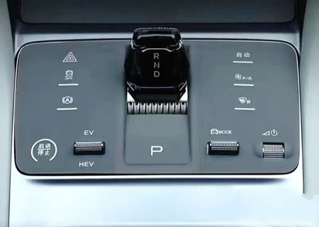 Защита от царапин BYD song champion