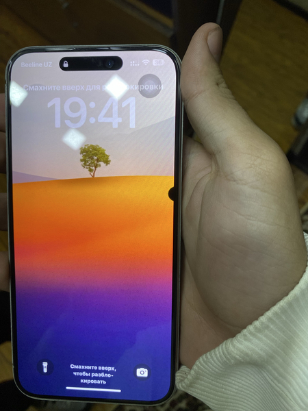 Iphone 15 Pro Max 256 Natural Titan