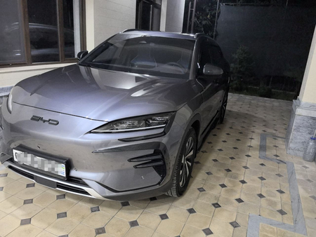 BYD Chempion 2023