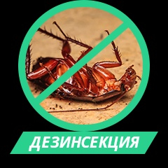 Dezinfeksiya klopa va tarakanga qarshi