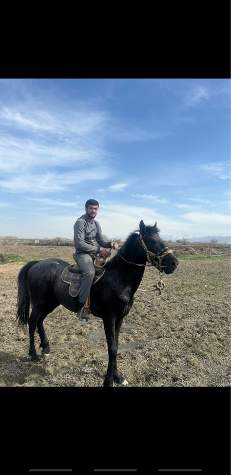 Toy sotiladi erkak