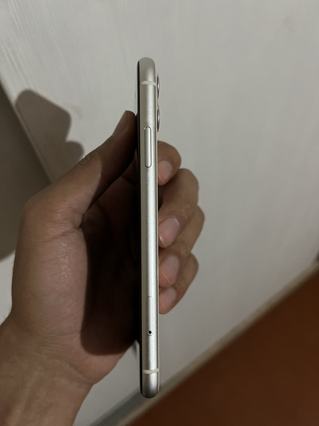 iphone 11 hamma joyi rodnoy